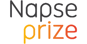 Prize - Guía de uso - Napse - Linx Share